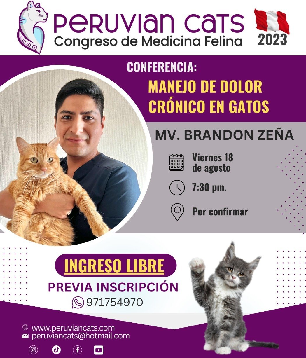 Peruvian Cats – El congreso felino mas grande del Perú