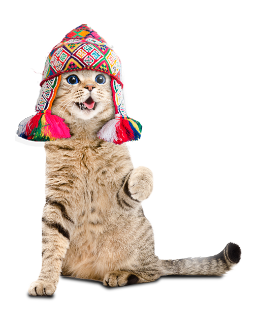 Peruvian Cats – El congreso felino mas grande del Perú